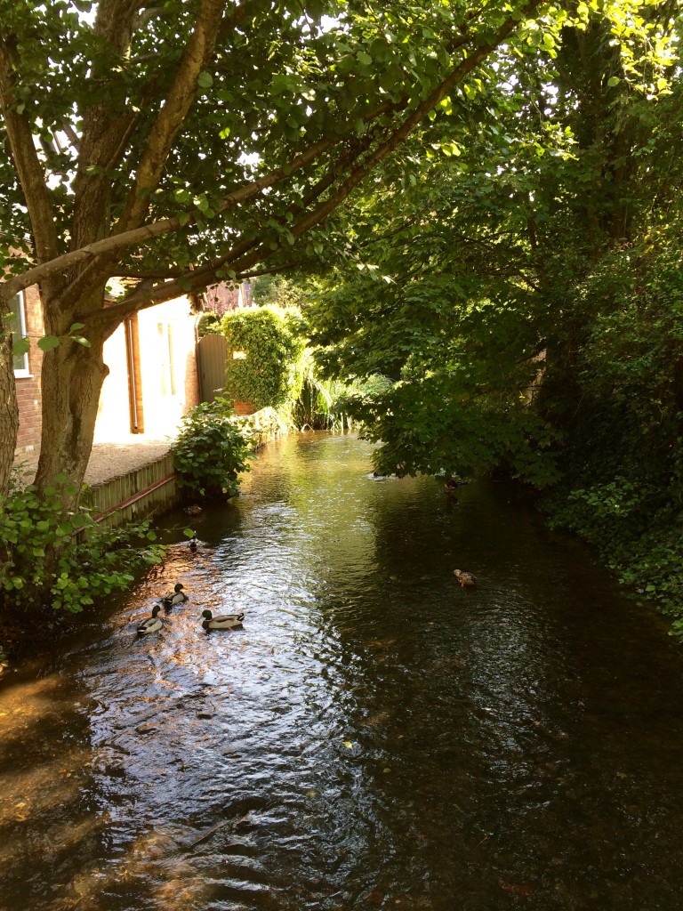 Stroll Through Shere | The Surrey Edit